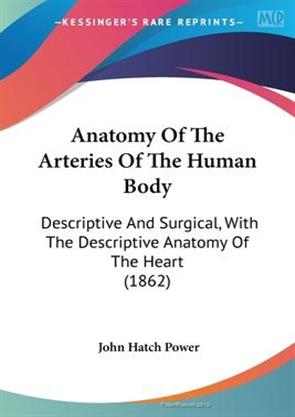 Anatomy Of The Arteries Of The Human Body Descriptive And Surgical With ...
