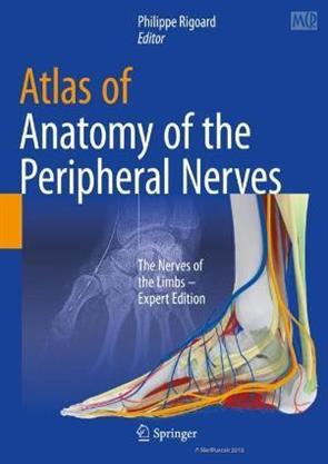 Atlas of Anatomy of the peripheral nerves The Nerves of the Limbs ...