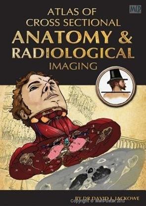 Atlas Of Cross Sectional Anatomy And Radiological Imaging, Anatomy ...