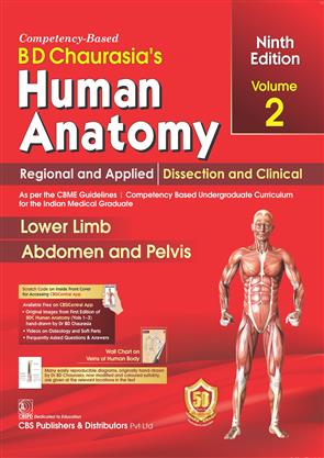 Bd Chaurasias Human Anatomy 9th Edition Vol 2 Regional and Applied Dissection and Clinical Lower ...