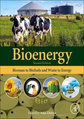 Bioenergy Biomass to Biofuels and Waste to Energy 2020 Edition, Physics ...