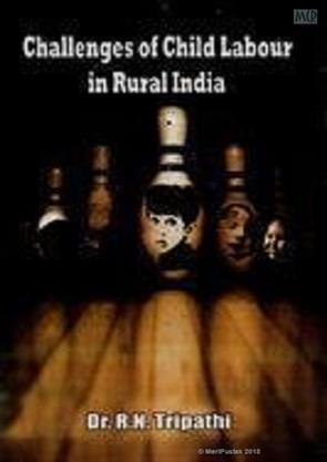 Challenges of Child Labour in Rural India, Social Science, DPS ...