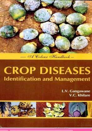 Crop Diseases Identification And Management A Colour Handbook, Geology ...