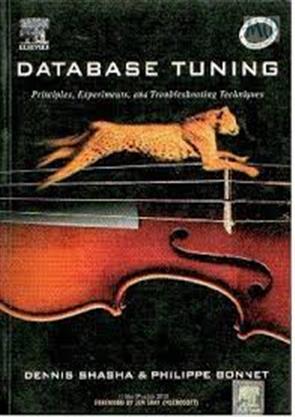 Database Tuning Principles Experiments & Troubleshooting Techniques, Software / Application ...