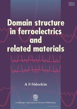 Domain Structure in Ferroelectrics and Related Materials, Physics, Cambridge International ...
