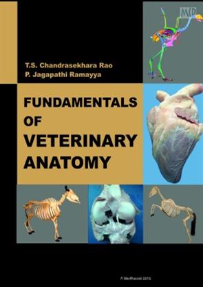 Fundamentals Of Veterinary Anatomy A Regional Approach (Fully ...