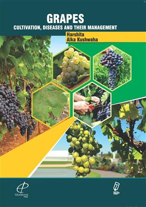 Grapes Cultivation Diseases And Their Management, Geology & Agriculture, Write And Print ...