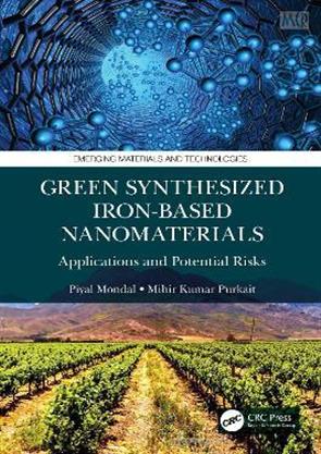 Green Synthesized Iron-based Nanomaterials 1st Edition 2022 Softbound ...