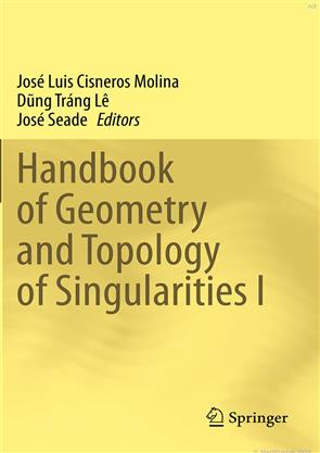 Handbook Of Geometry And Topology Of Singularities I (Pb 2020 ...