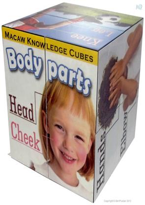 Macaw Knowledge Cubes: Body Parts, Knowledge & Learning Cubes, Macaw Books