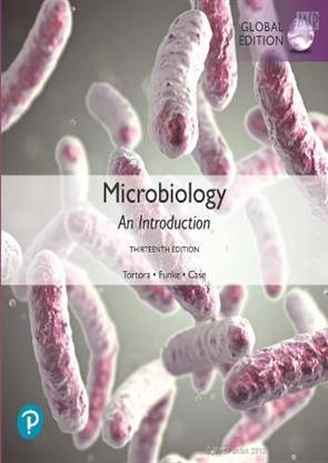 Microbiology An Introduction Global Edition 13Ed (Pb 2021 ...
