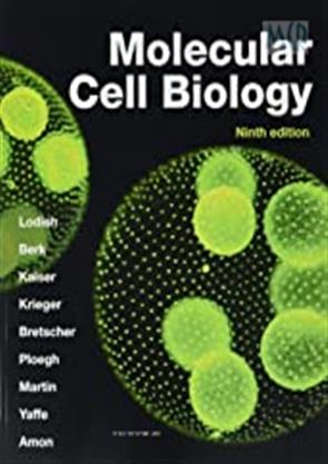 Molecular Cell Biology 9Th Edition, Biology, FREEMAN