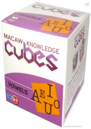 Phonics Cubes: Vowels, Knowledge & Learning Cubes, Macaw Books