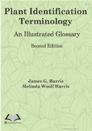 Plant Identification Terminology An Illustrated Glossary 2 Ed