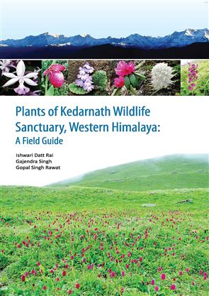 Plants Of Kedarnath Wildlife Sanctuary Western Himalaya A Field Guide (Pb), Geology ...