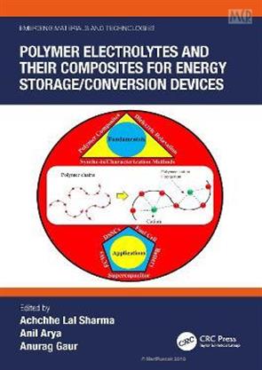 Polymers Electrolytes and their Composites for Energy Storage ...