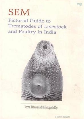 Sem Pictorial Guide to Trematodes of Livestock and Poultry in India ...