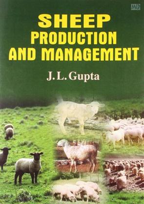 Sheep Production And Management (Pb), Veterinary Books, CBS PUBLICATION