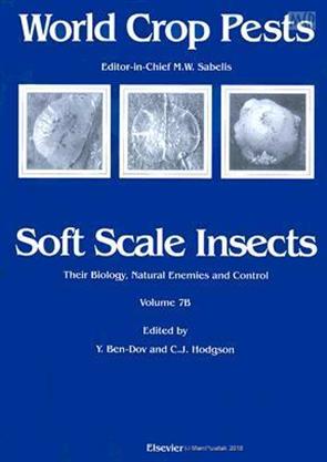 Soft Scale Insects Their Biology Natural Enemies and Control Vol 7B ...