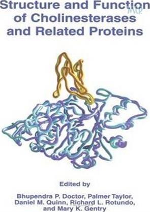 Structure and Function of Cholinesterases and Related Proteins 1st ...