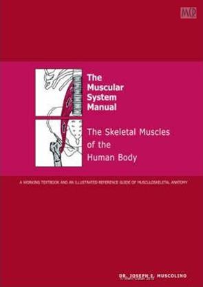 The Muscular System Manual:The Skeletal Muscles Of The Human Body ...
