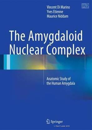 The Amygdaloid Nuclear Complex Anatomic Study of the Human Amygdala 1st ...