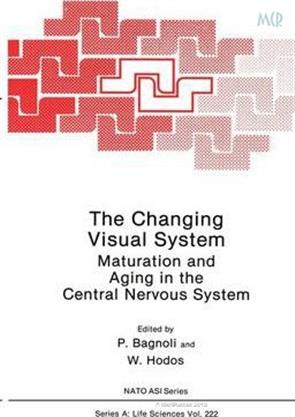 The Changing Visual System Maturation and Aging in the Central Nervous ...
