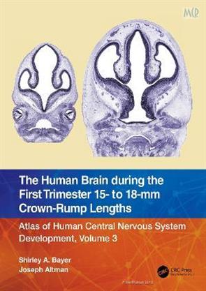 The Human Brain During the First Trimester 15 to 18 mm Crown-Rump ...