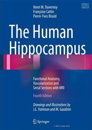 The Human Hippocampus Functional Anatomy Vascularization and Serial ...