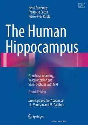 The Human Hippocampus Functional Anatomy Vascularization and Serial ...