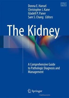 The Kidney A Comprehensive Guide to Pathologic Diagnosis and Management ...