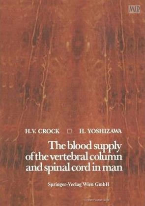The blood supply of the vertebral column and spinal cord in man 1st ...
