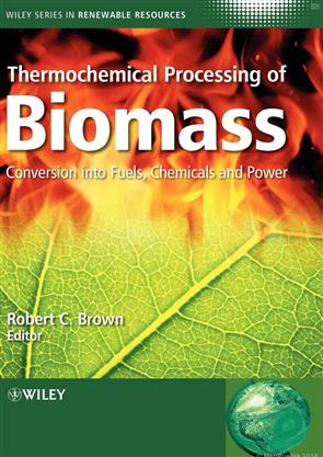 Thermochemical Processing of Biomass: Conversion into Fuels, Chemicals ...