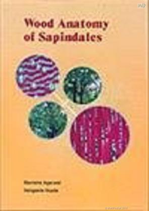 Wood Anatomy of Sapindales
